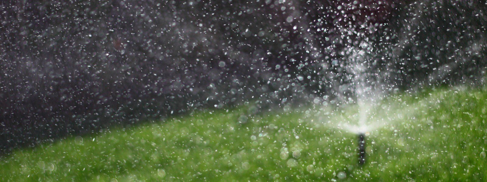 WaterSavingTips.org | Water Conservation Coalition of Santa Cruz County